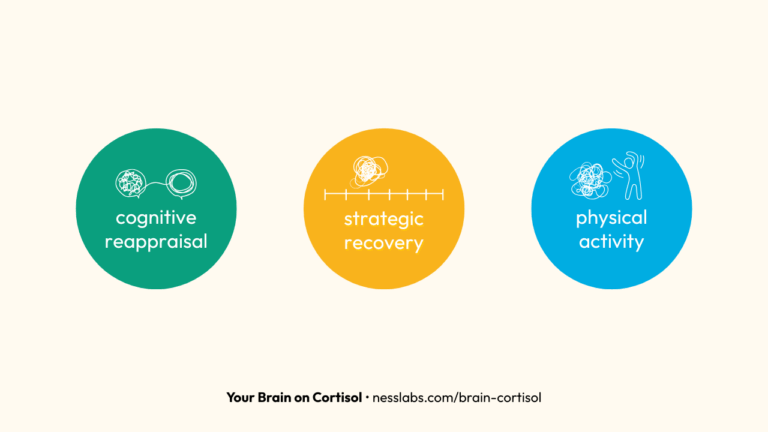 Your Brain on Cortisol: How to Rewire Your Stress Response