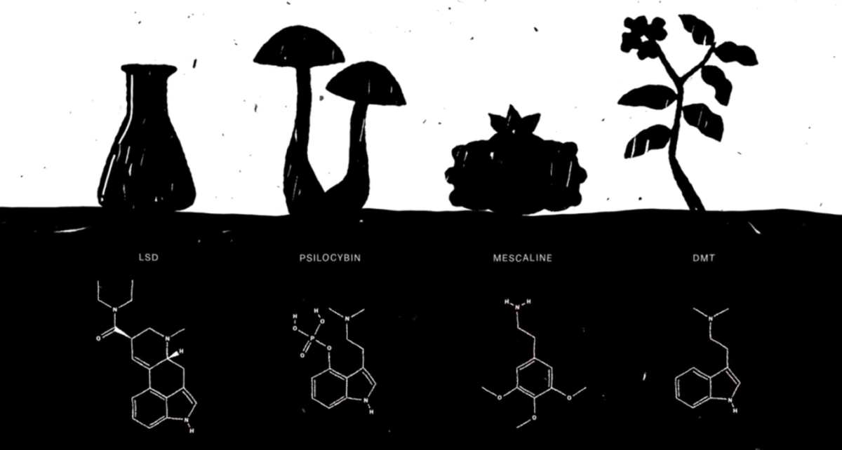 The Mind, Explained: a Netflix documentary - Ness Labs