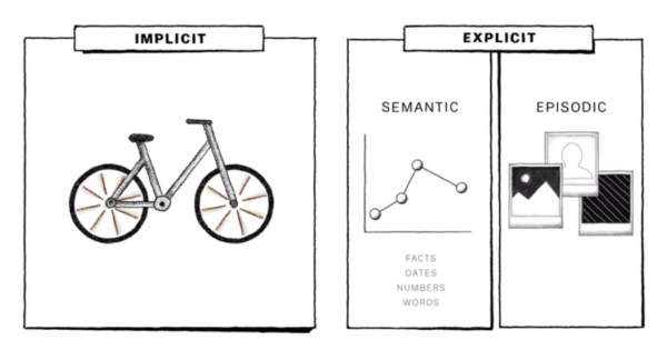 The Mind, Explained: a Netflix documentary - Ness Labs