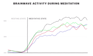 The Mind, Explained: a Netflix documentary - Ness Labs