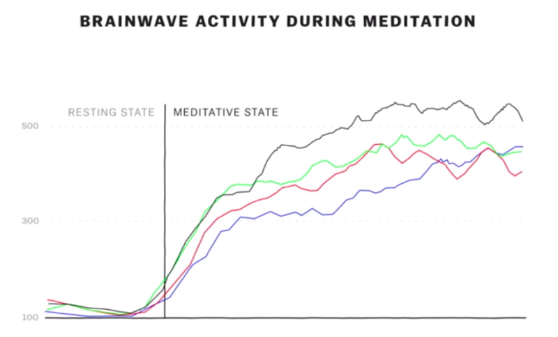 The Mind, Explained: a Netflix documentary - Ness Labs