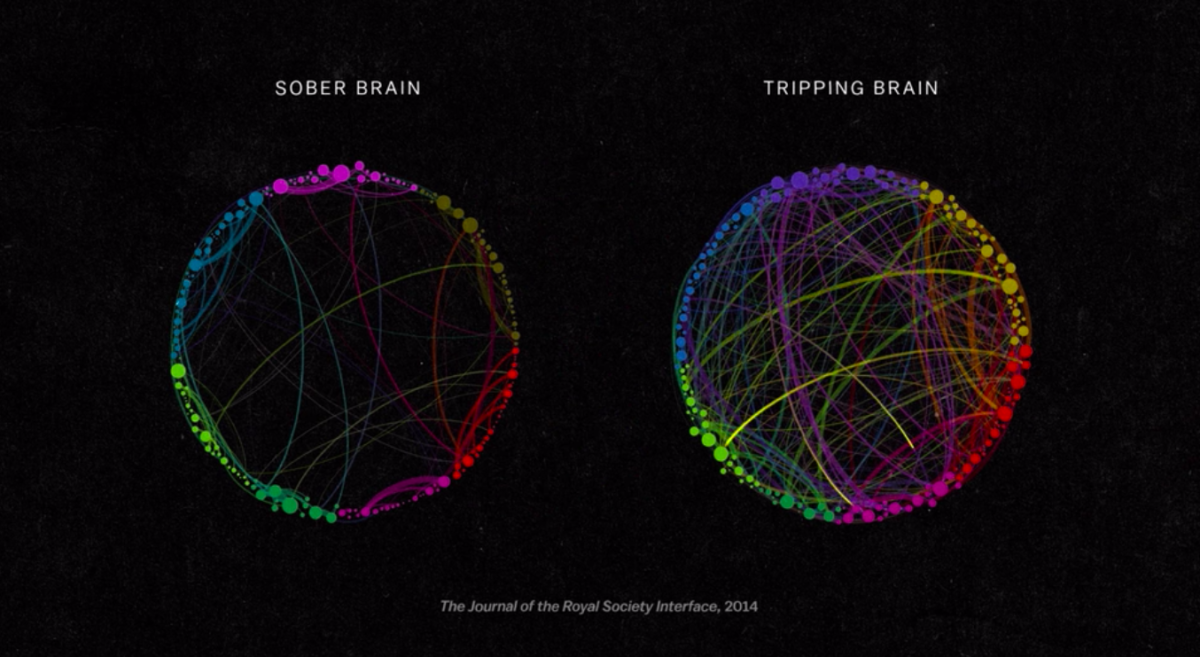 The Mind, Explained: a Netflix documentary - Ness Labs