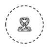 The Cobra Effect: how linear thinking leads to unintended consequences