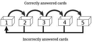 The power of spaced repetition and flashcards - Ness Labs