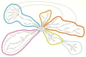 Thinking in maps: from the Lascaux caves to knowledge graphs