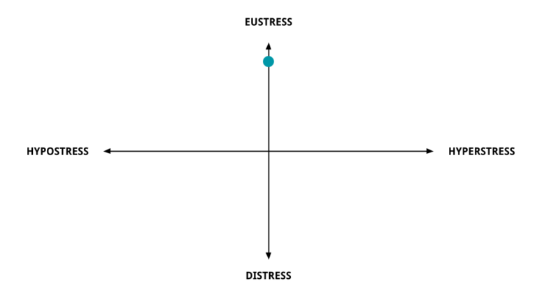 Creating calm: how to manage stress - Ness Labs