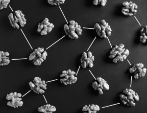 The collective brain: where does innovation come from? - Ness Labs