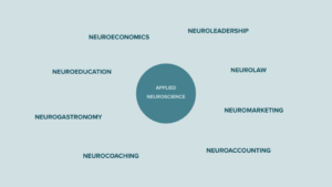An introduction to applied neuroscience - Ness Labs