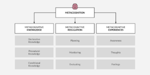 Metacognition: the mind’s Swiss Army knife - Ness Labs
