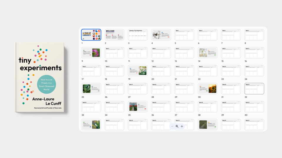 A Year of Curiosity - Ness Labs